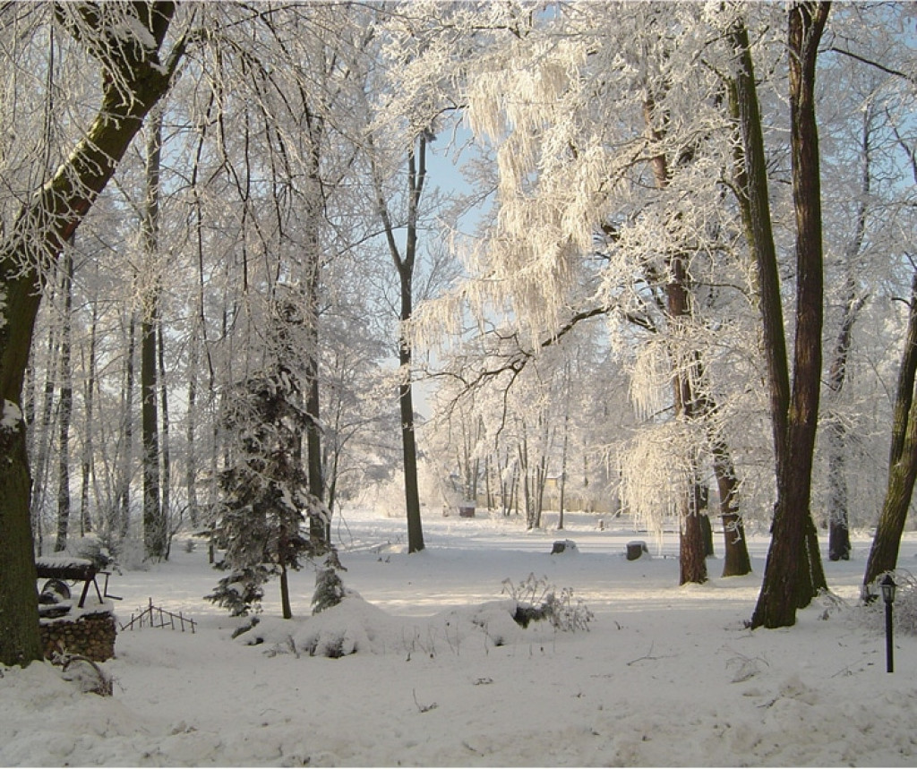Rogow-Olsza - The Foyers de Charité